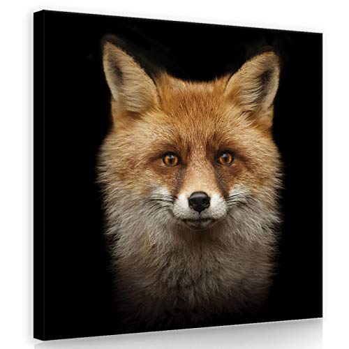 Leinwandbild Fuchs-Portrait, 40x40 cm